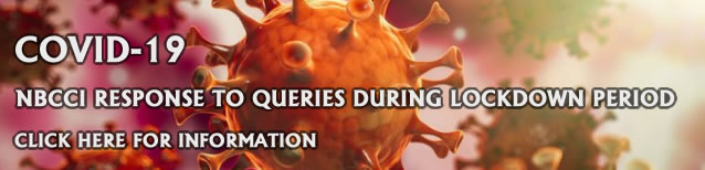 National Bargaining Council for the Chemical Industry